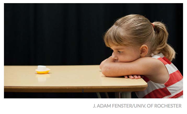 The Neuroscience of Self-Control | Center for Cognitive and Brain Sciences